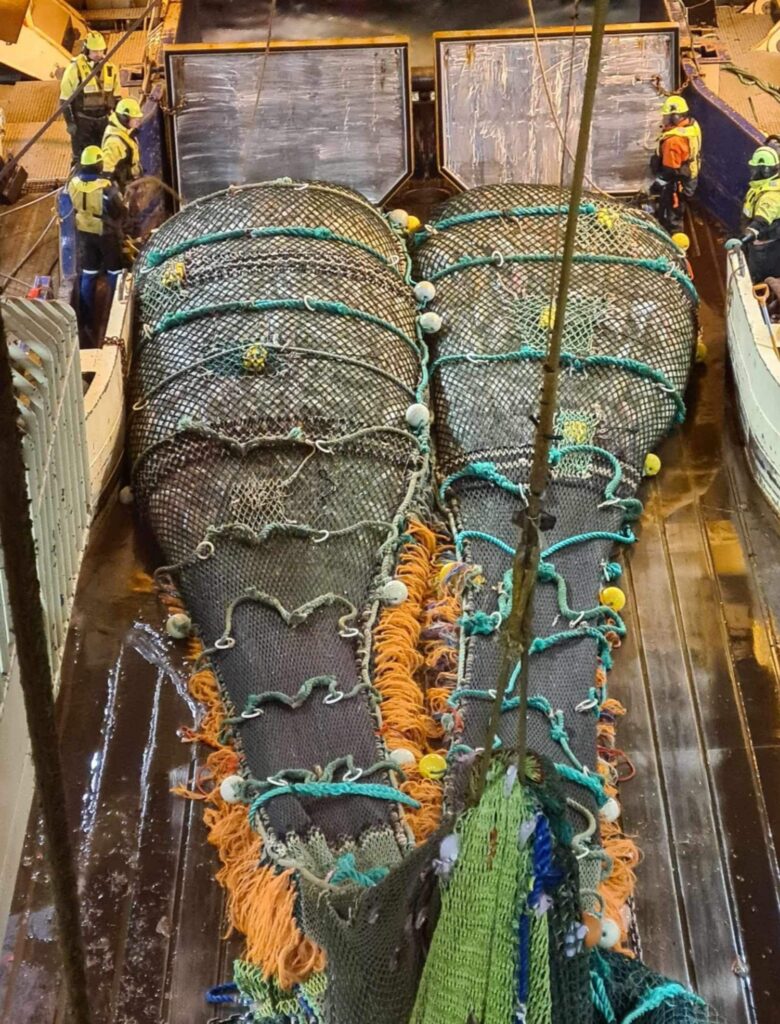 Revolutionary Semi-Circle Hoppers as an Alternative to Rockhopper ...